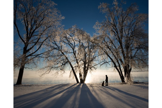 Winter Morning Walk